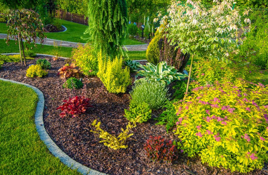 Choosing the Right Plants for Low-Maintenance Commercial Landscaping ...